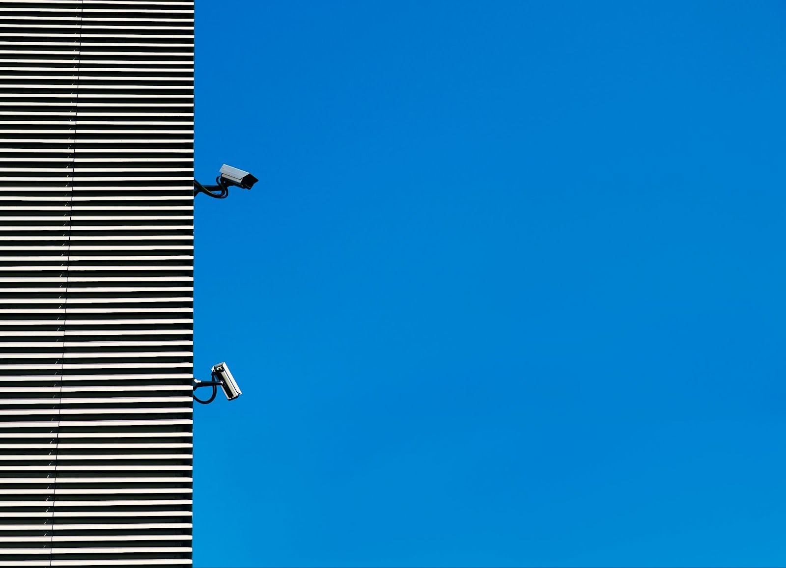 Safeguarding Your Inventory Data • LilyPad Applications